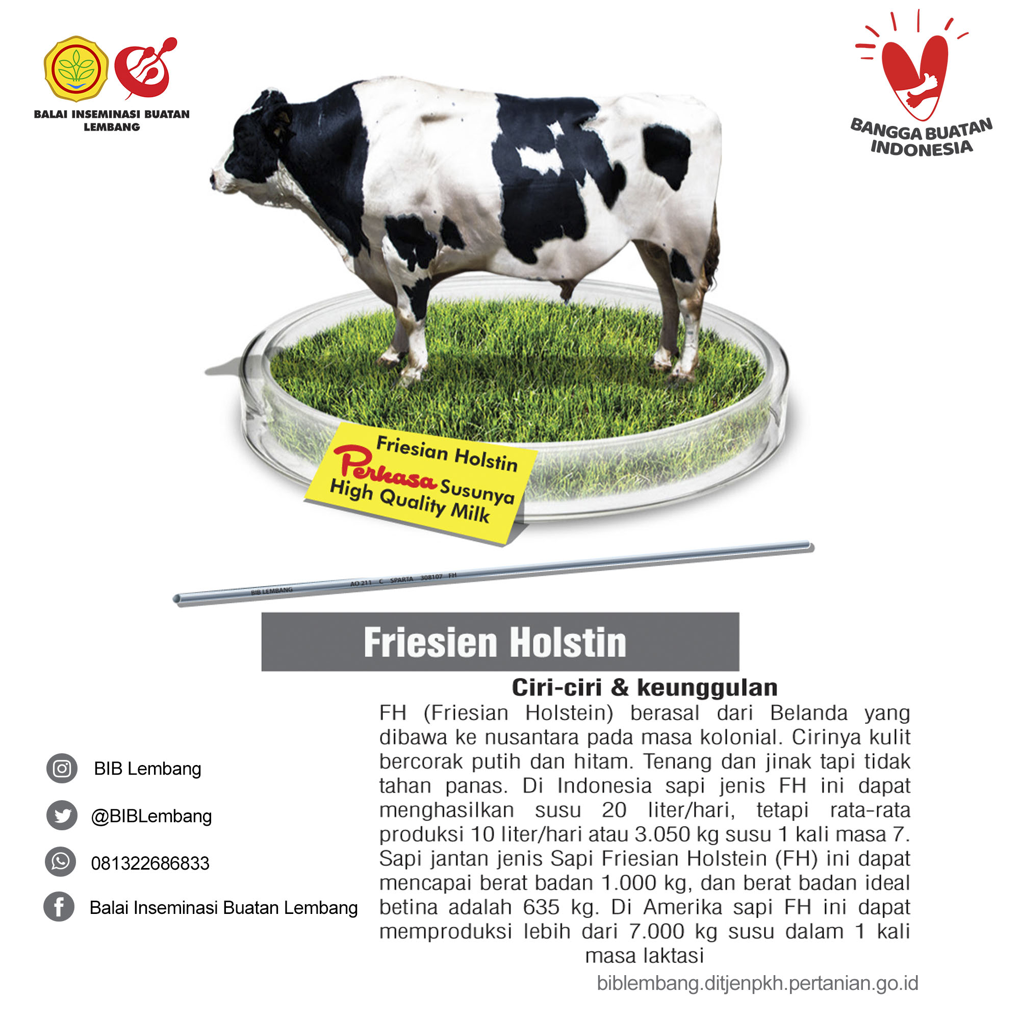 Semen Beku Semen Beku Sapi Perah [Fh] Grade B | Sijalu